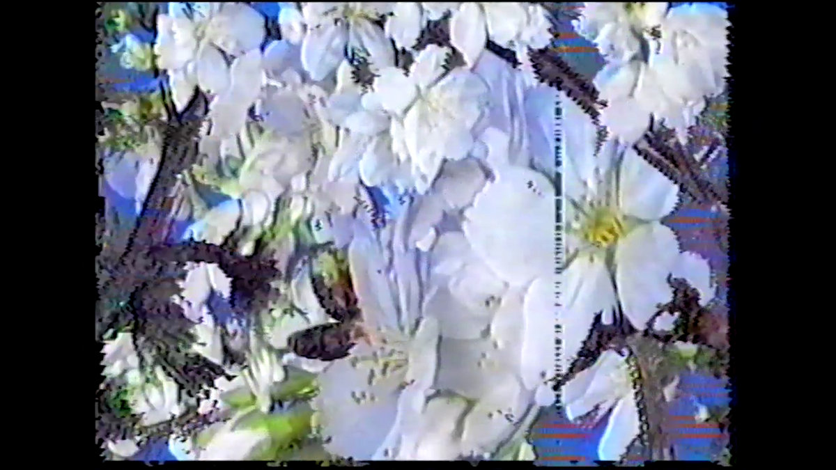 Video Art for Conditional Malaise OST | Billy Gomberg & Rob Feulner ...