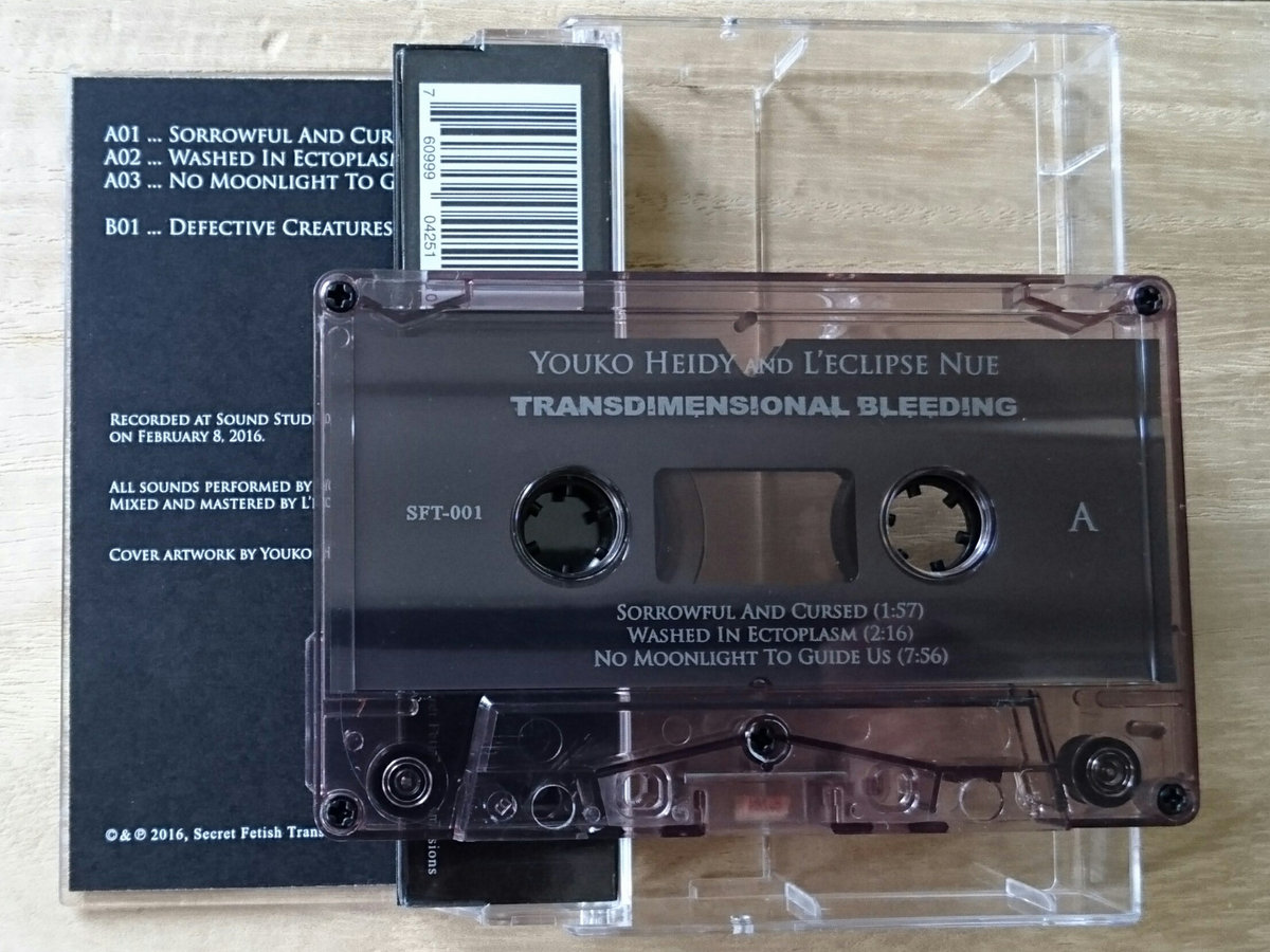 Transdimensional Bleeding | Youko Heidy and L'eclipse Nue | L'eclipse Nue