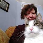 A Collection of Songs in the Traditional & Sean-Nós Style | Nyahh Records