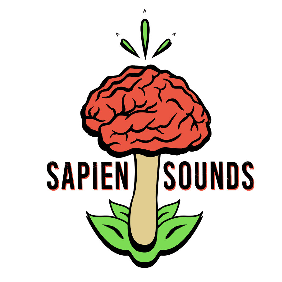 Light of the Sun | Sapien Sounds