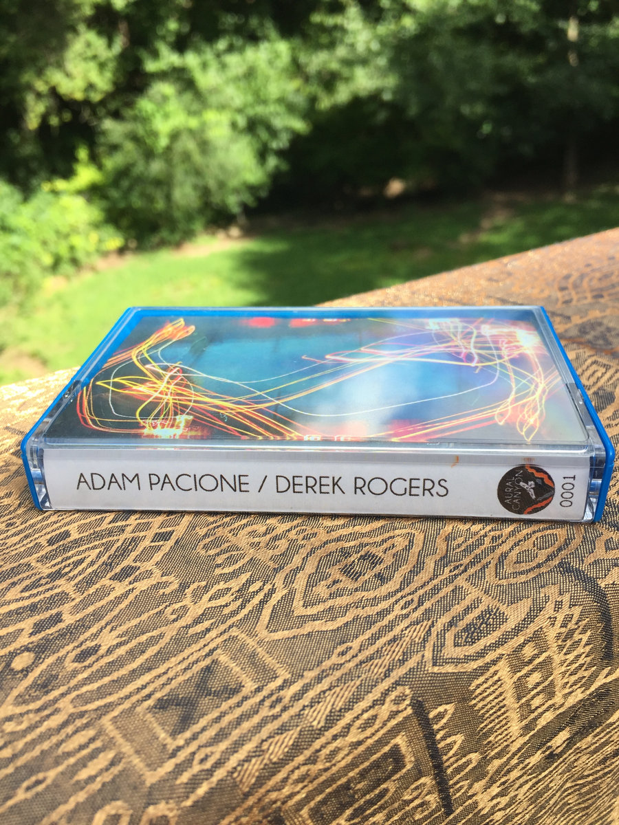 Adam Pacione | Derek Rogers | Adam Pacione | Derek Rogers | Aural Canyon