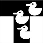 Minute Bodies: The Intimate World Of F. Percy Smith | tindersticks