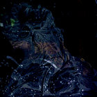 Monocyte: The Lapis Coil | Saltillo