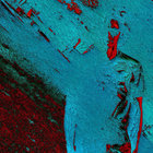 SOULJA LUV RARI WORLD | BLACK KRAY AKA SICKBOYRARI