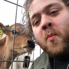 Forest Life | McCafferty