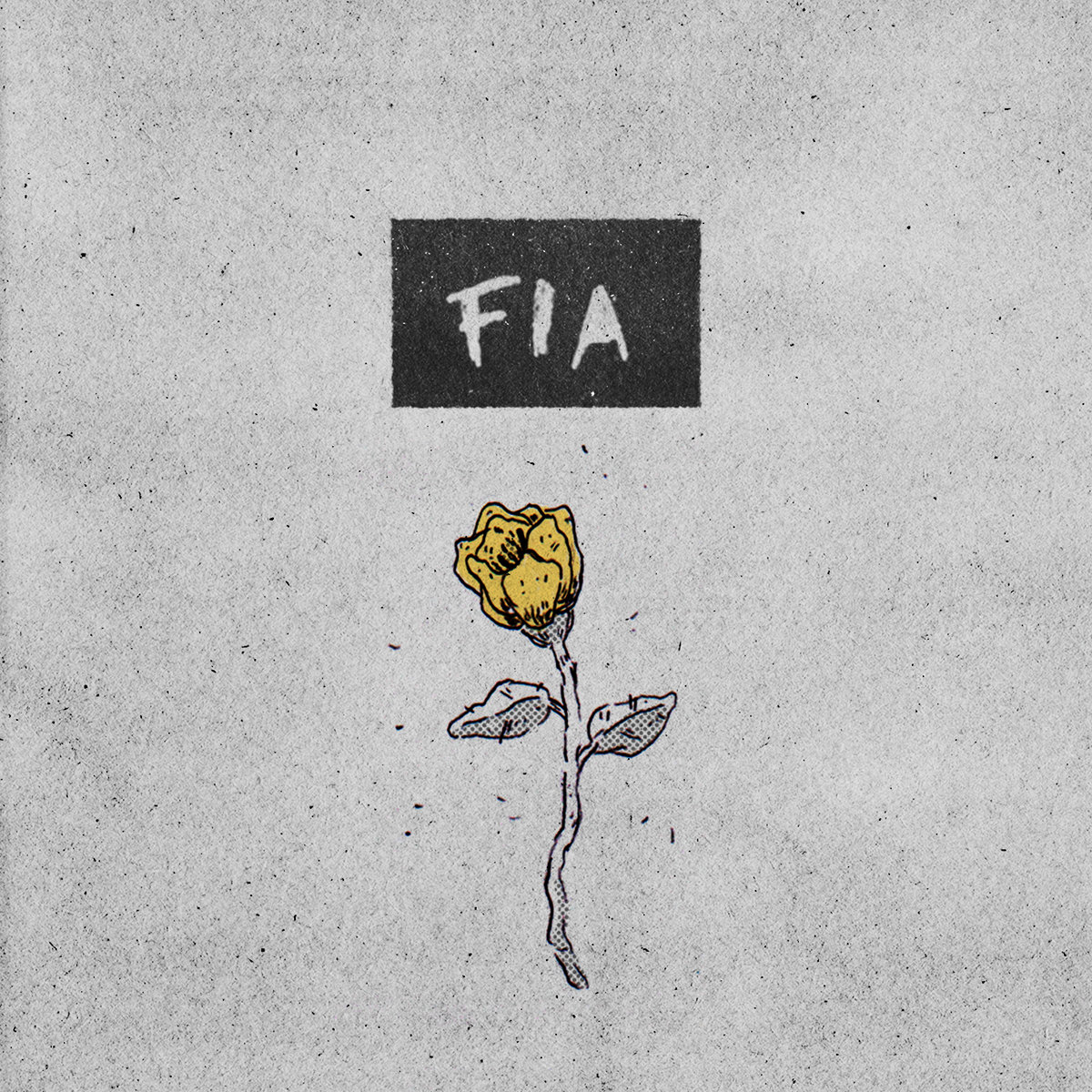 Todos los intentos no son suficientes | Fia | fia