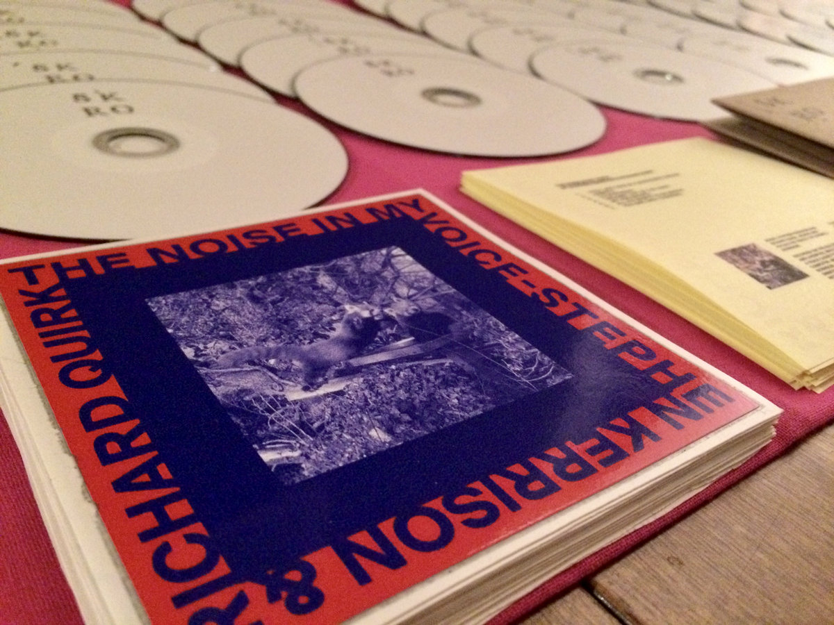 The Noise In My Voice | Stephen Kerrison & Richard Quirk | Stephen Kerrison