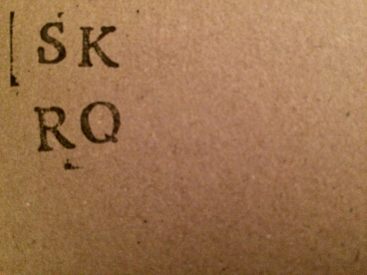 The Noise In My Voice | Stephen Kerrison & Richard Quirk | Stephen Kerrison