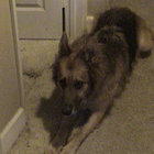 Obaa Sima (Anniversary Remaster) | Ata Kak