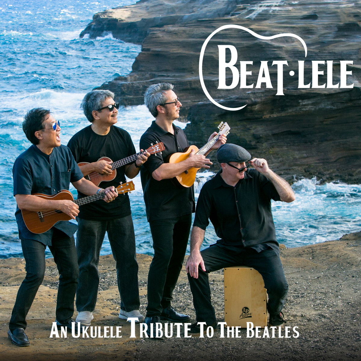 While My Guitar Gently Weeps | BEAT-LELE