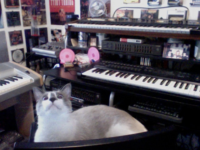 Thanks for the Thunks (Remixes) | JD Kiril, Jesse Savka, David Geest ...