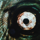 Signals Bulletin | ASUNA & Jan Jelinek