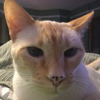 Meet You | deranged records