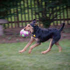 Walk Against Wind | Linda May Han Oh