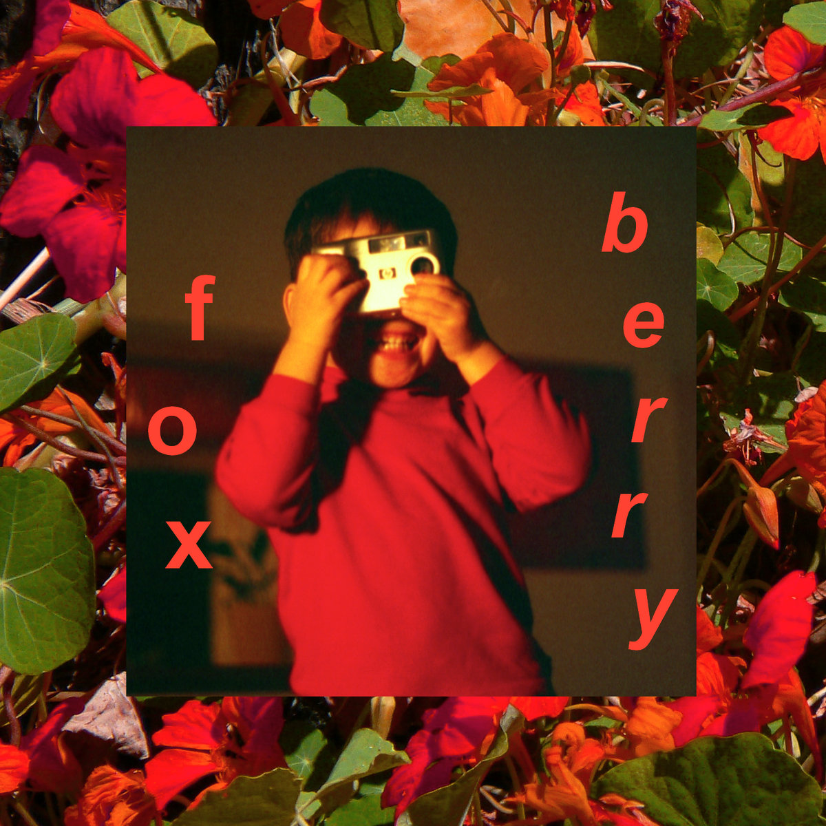 packing up | foxberry