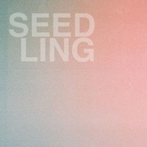 Fall | SEED LING