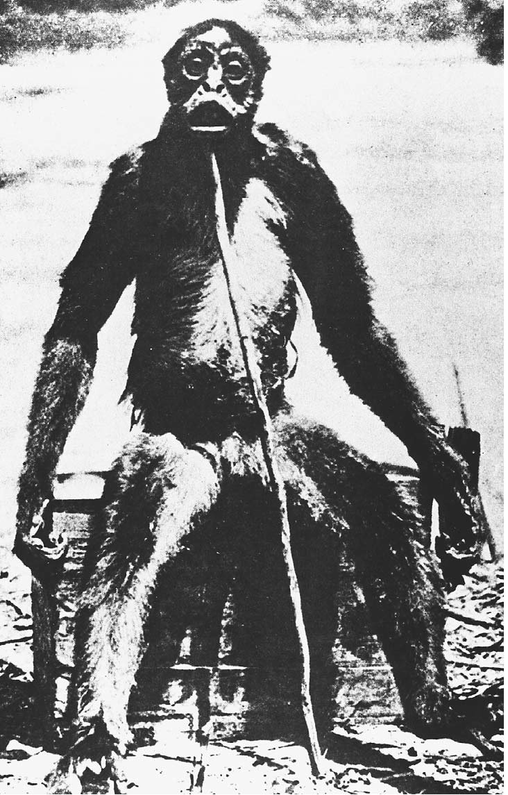 Eyes Pecked Out For The Children Of The Crescent Moon | De Loys' Ape