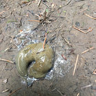 A WARM WEATHER GHOST | Tunde Adebimpe