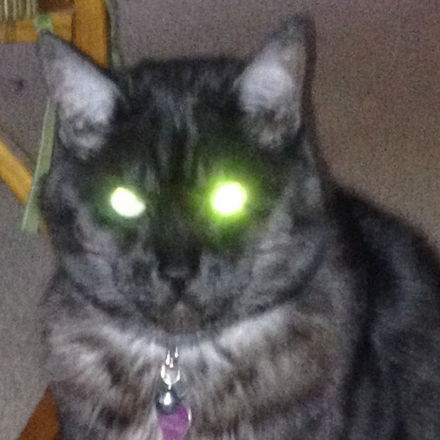 johnforward's collection | Bandcamp