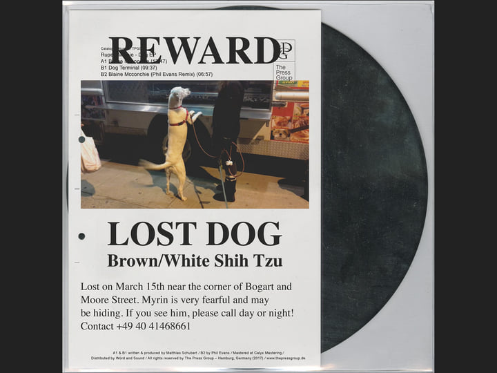 Terminal Vinyl Group