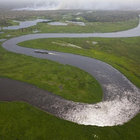 Year Of The Monkey | Dabbla