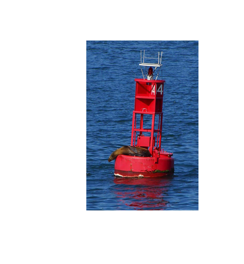 Attempty | Andrew Boylan