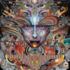 Marble Hunting | Tipper