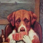 woob 1194 (21st Century Remaster) | woob