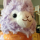 Pulse Demon (Remaster Reissue) | Merzbow