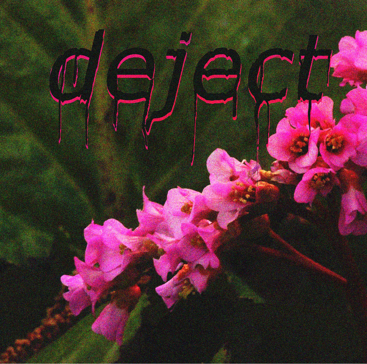 for you (feat. carlo anthony and kid c.) | deject