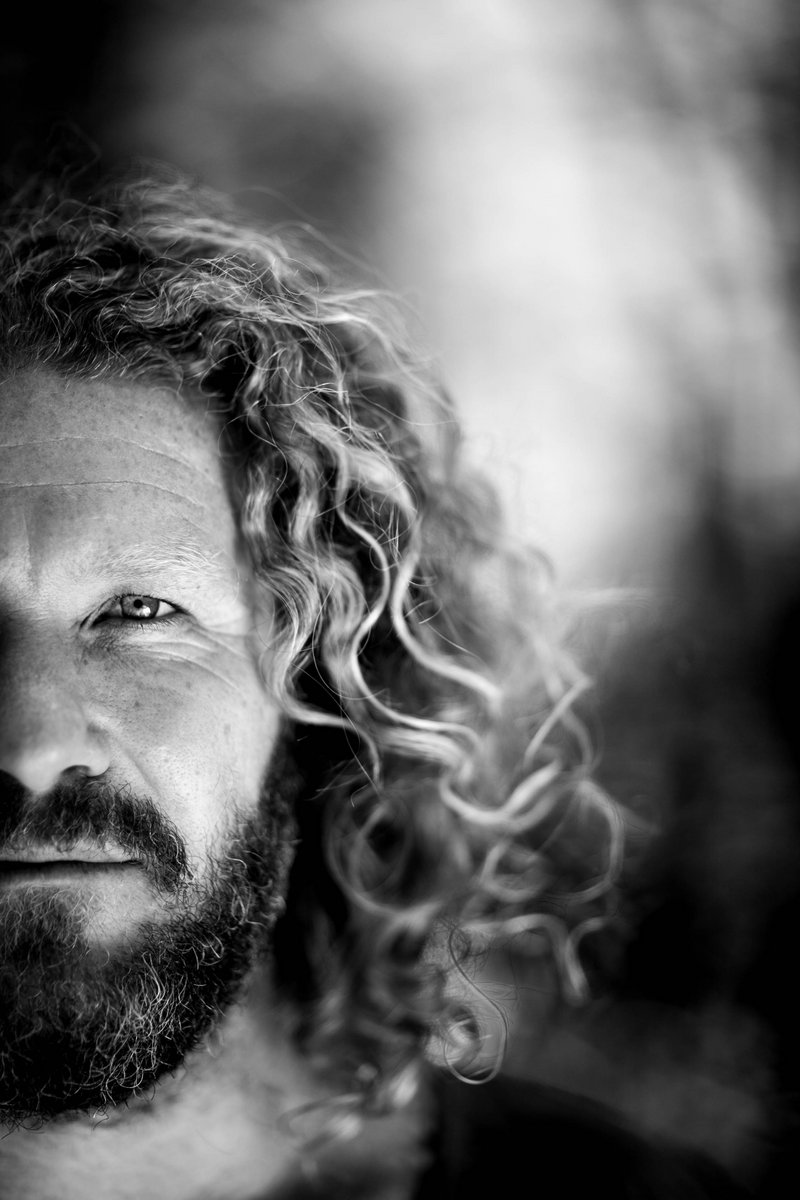 Sound Sketches Vol. 2 | Shannon Sol Carroll