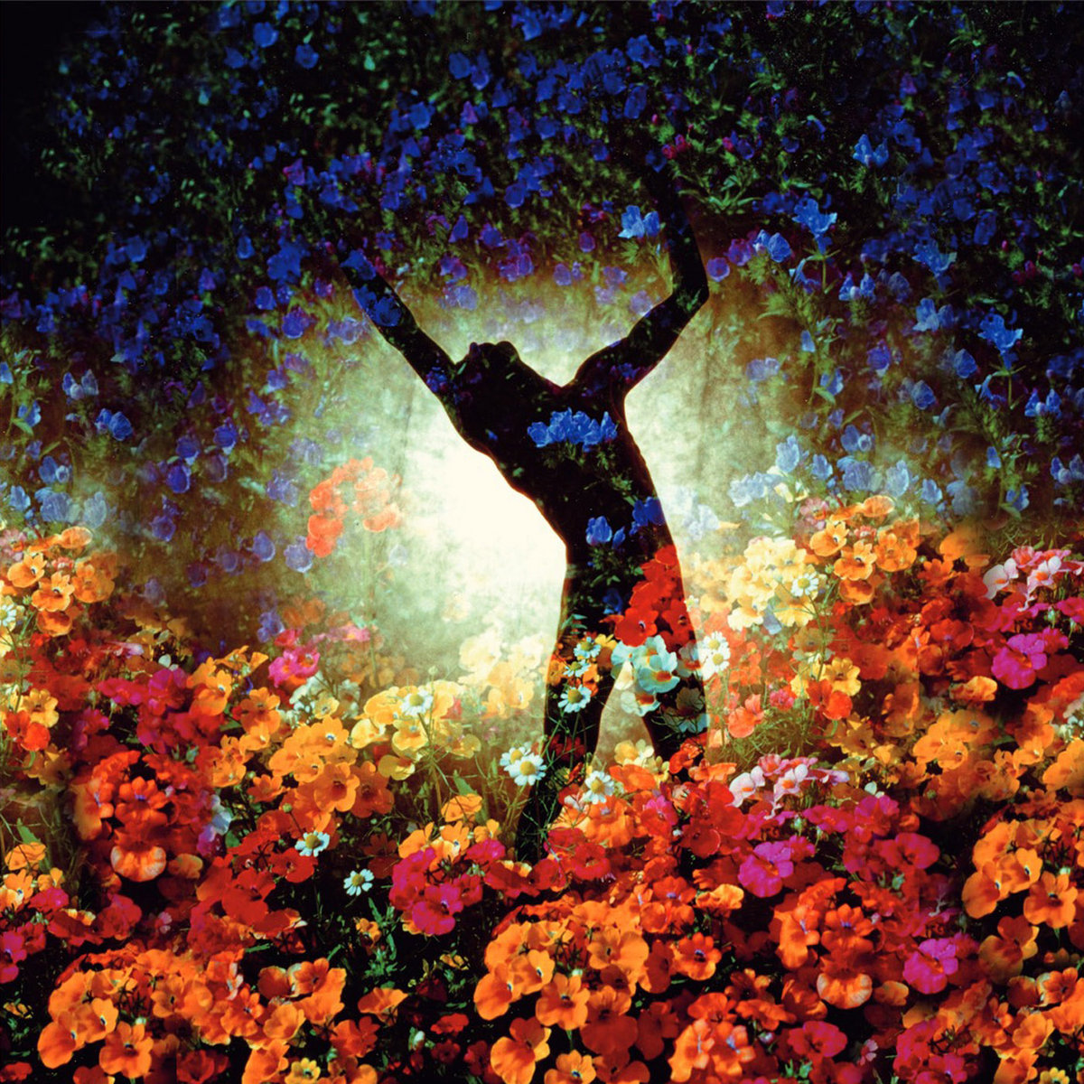 Secret Garden | Tony Gerber