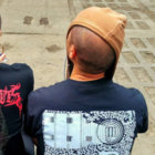 Stemming Back | ian finkelstein