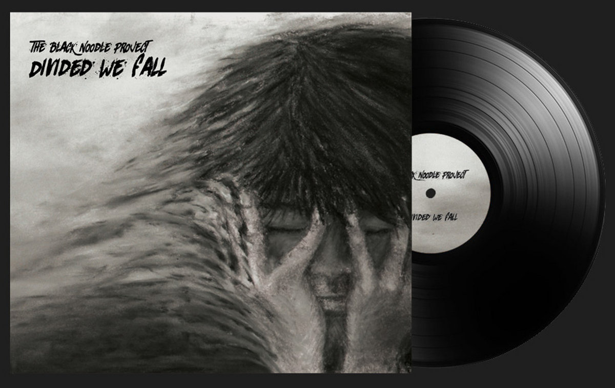 Divided We Fall - LP/Vinyl | The Black Noodle Project