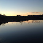 A Place I'll Always Go | Palehound