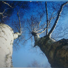 The Fall Of Math (deluxe edition) | 65daysofstatic | Bird's Robe Records