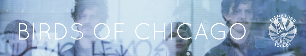 Love in Wartime | Birds of Chicago