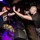 Alabaster Chamber | FOREVER GREY