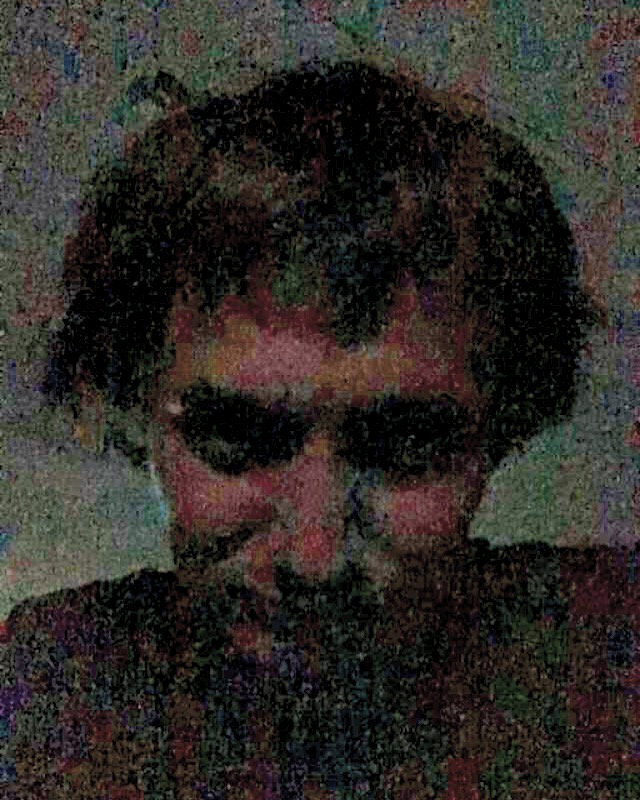 Whale | Michael flake