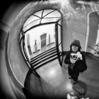 Cardinal | Pinegrove