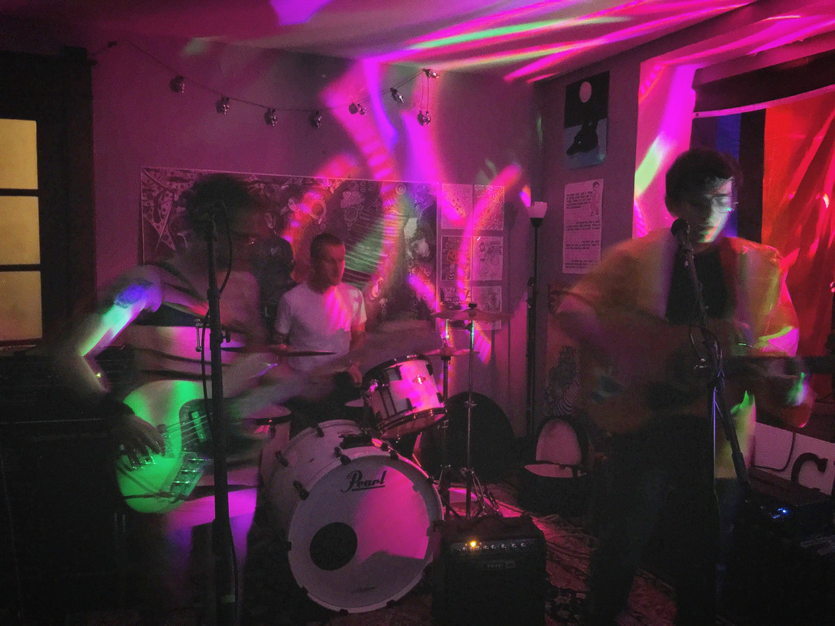 Former Friends | Forest Life