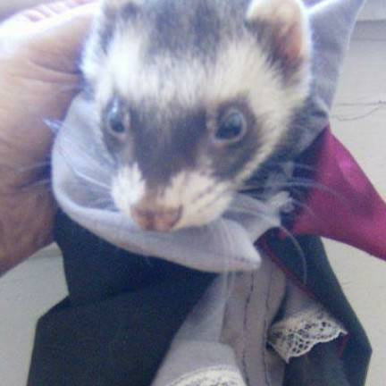 DannySougstad's collection | Bandcamp