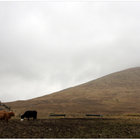 Those Who Caress The Pale | Ved Buens Ende | Soulseller Records