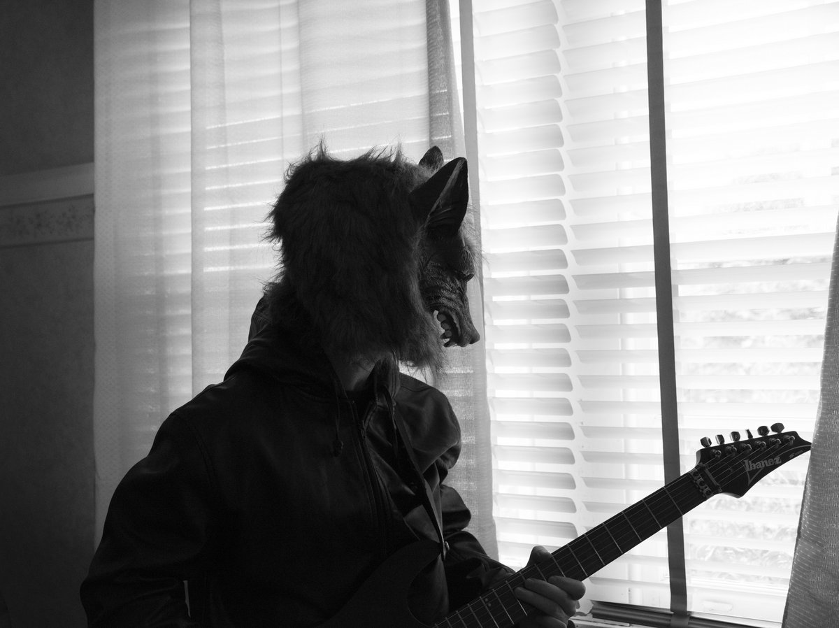 Paper Strings | Eran Wolf