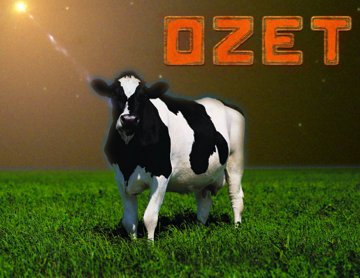 Transmissions | OZET