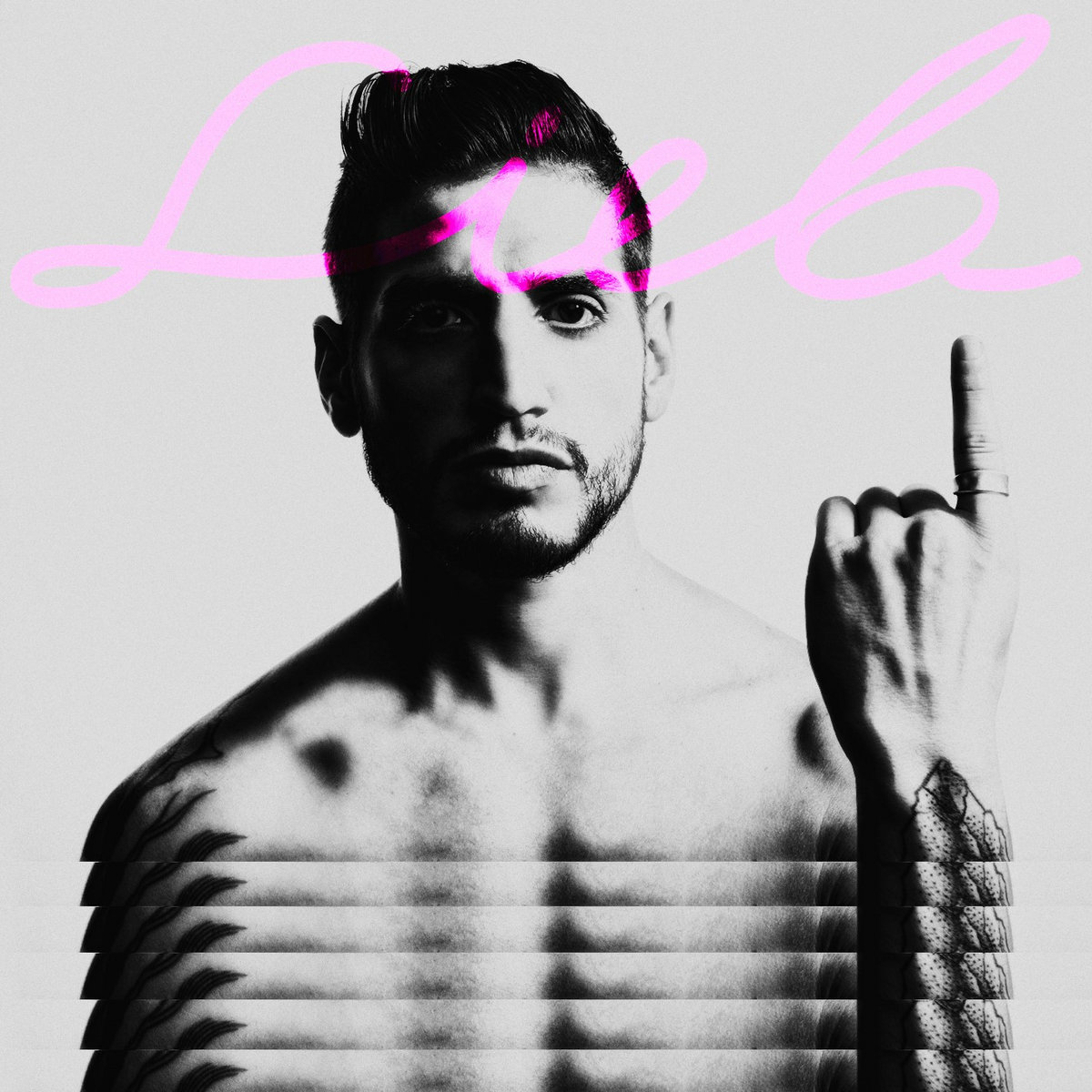 Lieb Volume 1 | Lieb