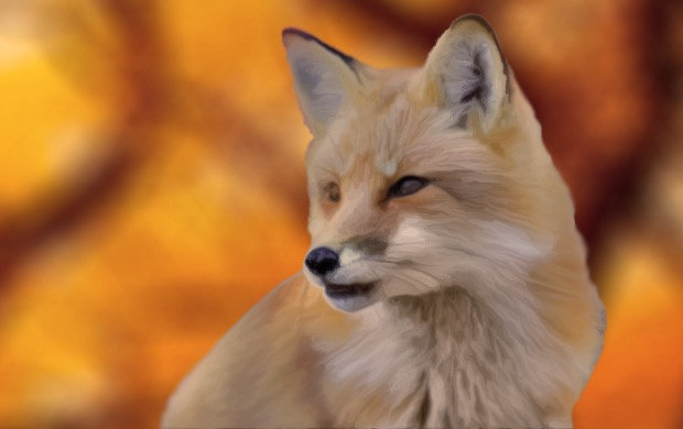 Winter Forest | Pyro-Fox