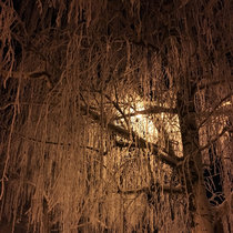 keith-cancel's collection | Bandcamp