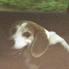 SLOW WARM DEATH | Slow Warm Death