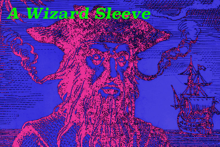 A Steve Named Lizard | A Wizard Sleeve